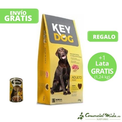 KEY DOG Cheap Maintenance Food and Quality Adult Dogs 20kg – Comercial Mida